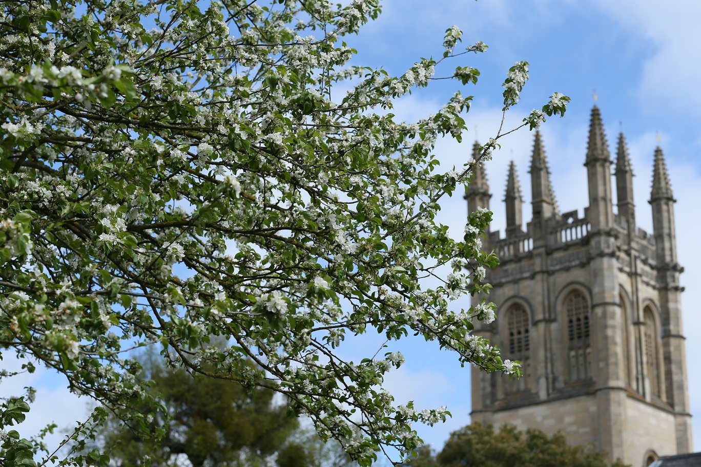 Rebecca Giles | Staff Gateway