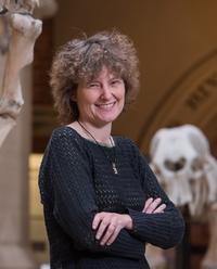 Green Action Week: Professor EJ Milner-Gulland | Staff Gateway